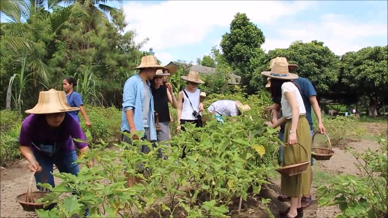Thai Farm & Cooking School Tour ~ Sep 8-2015 - YouTube