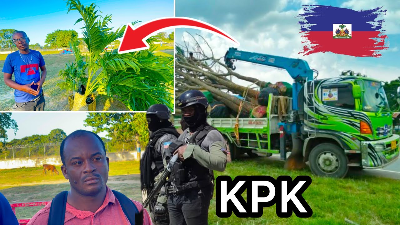 🆘ANMWEYYY🤗SOU KANAL KPK A YON AGRONÒM DEBAKE avèk ANPIL PYE PALMIS😍 ...