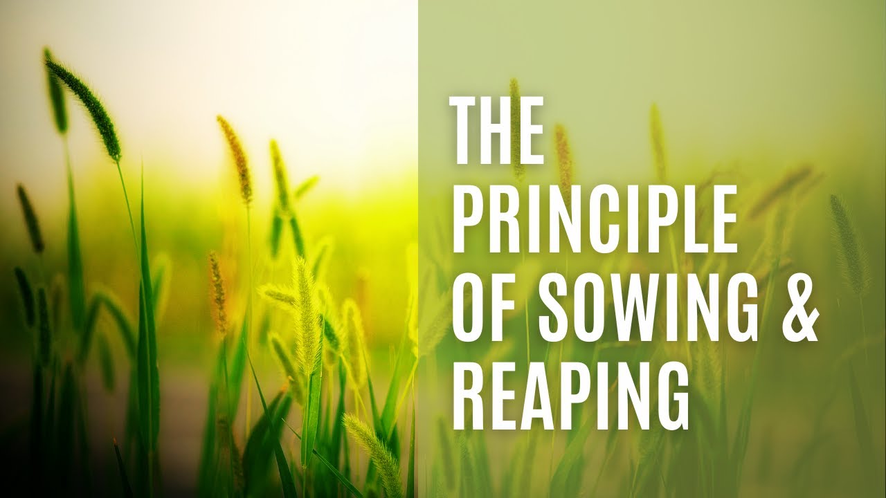 The Principle of Sowing And Reaping - YouTube