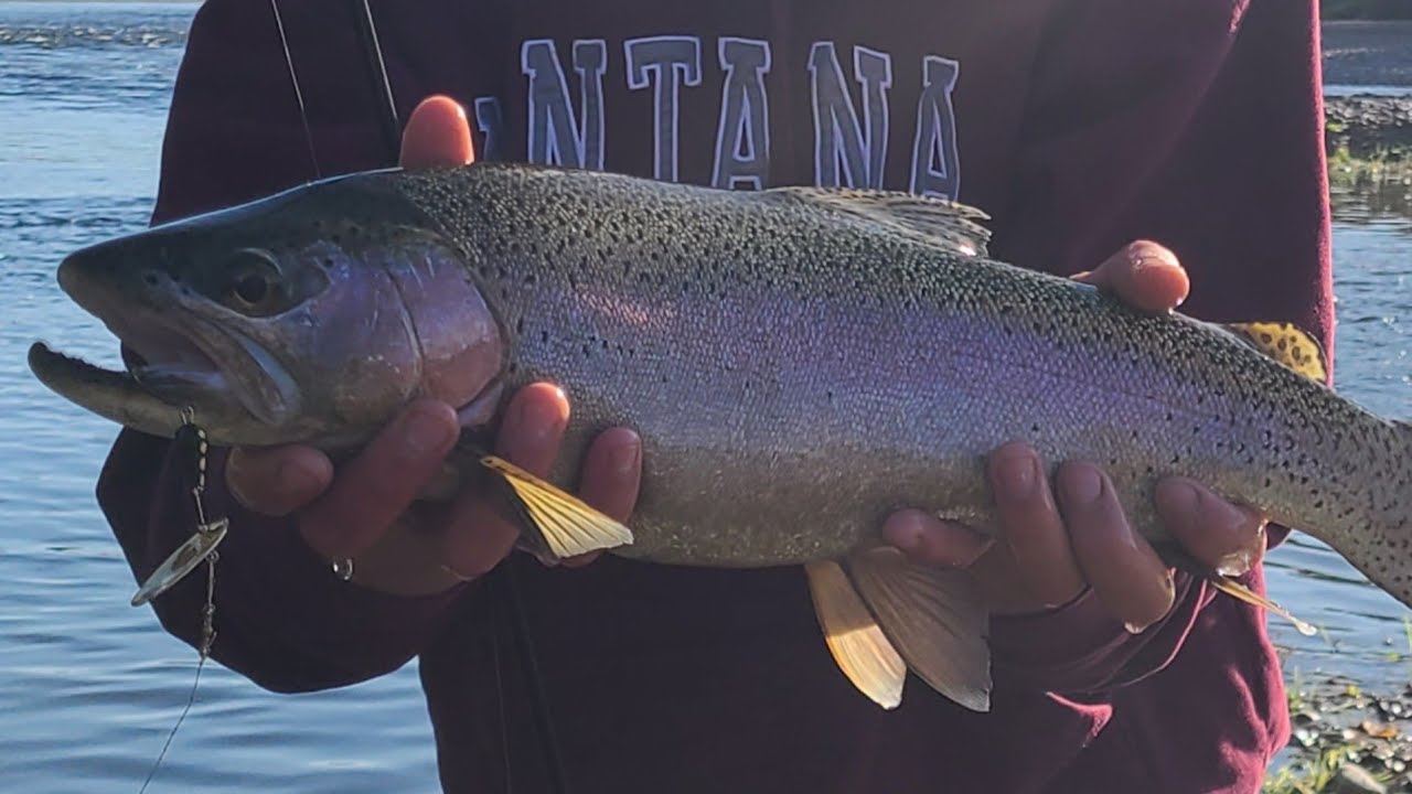 How to catch BIG Rainbow trout in the spring in Montana - YouTube