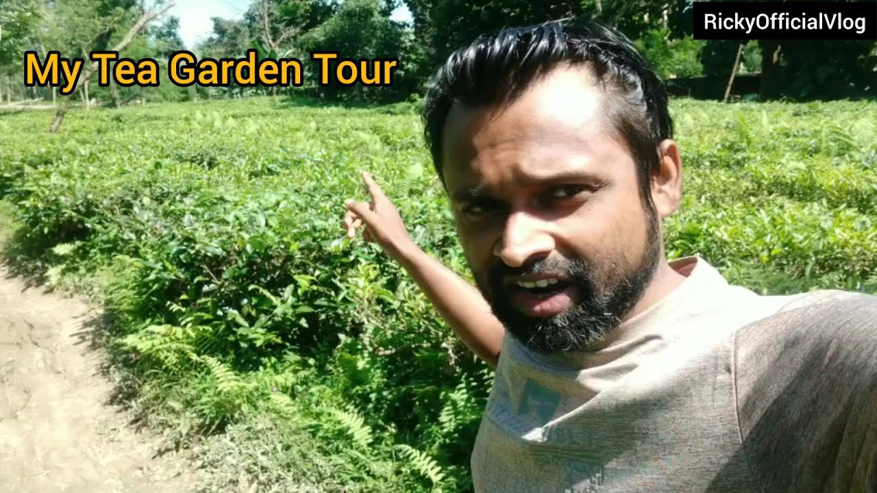 My Tea Garden Tour | My Village - YouTube