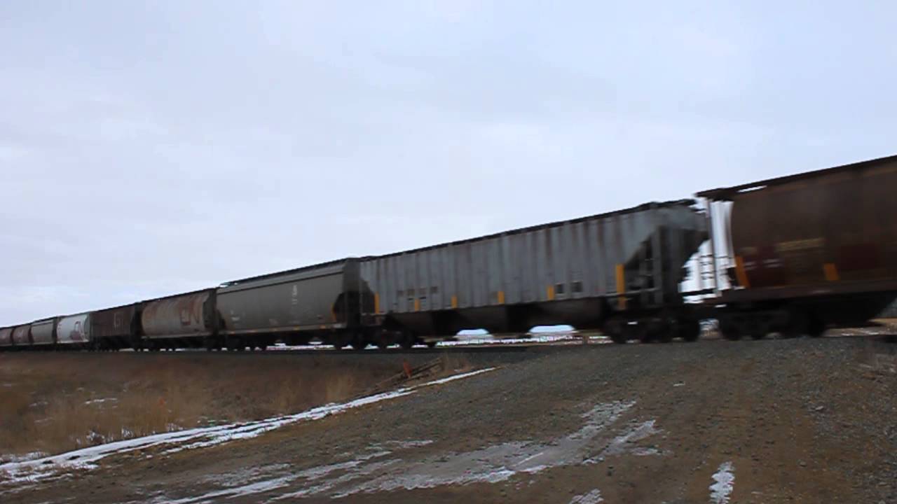 CN Grain Train Near Bruce - YouTube