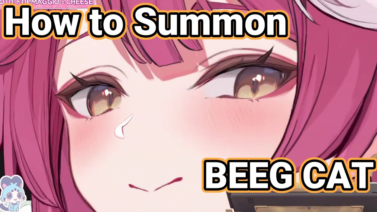 Is Raora Cute BEEG Cat? - YouTube