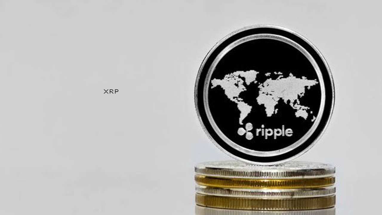 XRP RIPPLE I UNDERSTAND IT NOW !!!!!!!! - YouTube