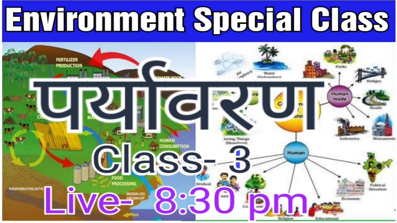 Kinds Of Environment Class 3 || geography || paryawran - YouTube