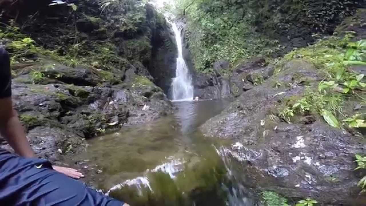 Upper Manoa Falls Hike - YouTube