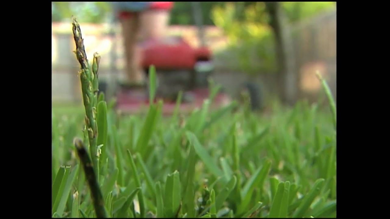 Lawn Mower Injuries | Dr. Mom - YouTube