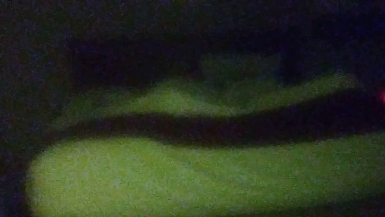 Snoring contest at the aria round 2 - YouTube