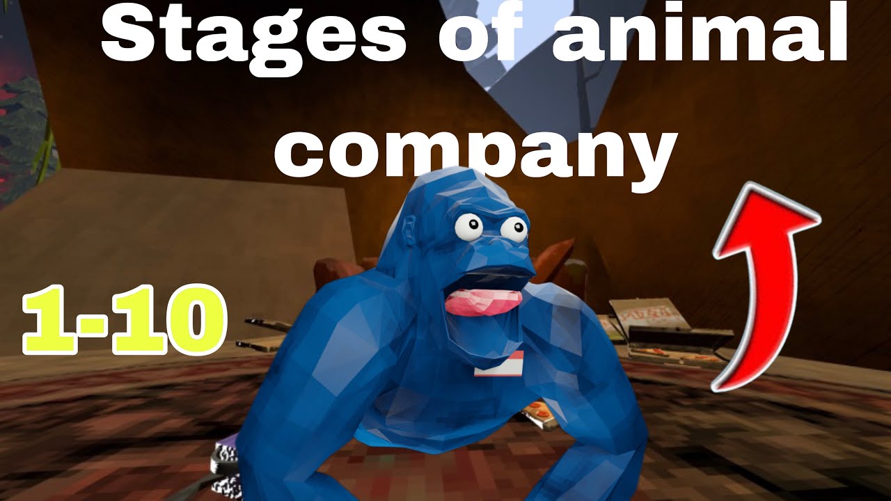 THE 10 stages of an animal company player - YouTube
