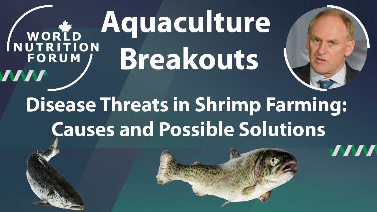 WNF 2016 Aquaculture Breakouts: 05 Disease Threats in Shrimp Farming ...