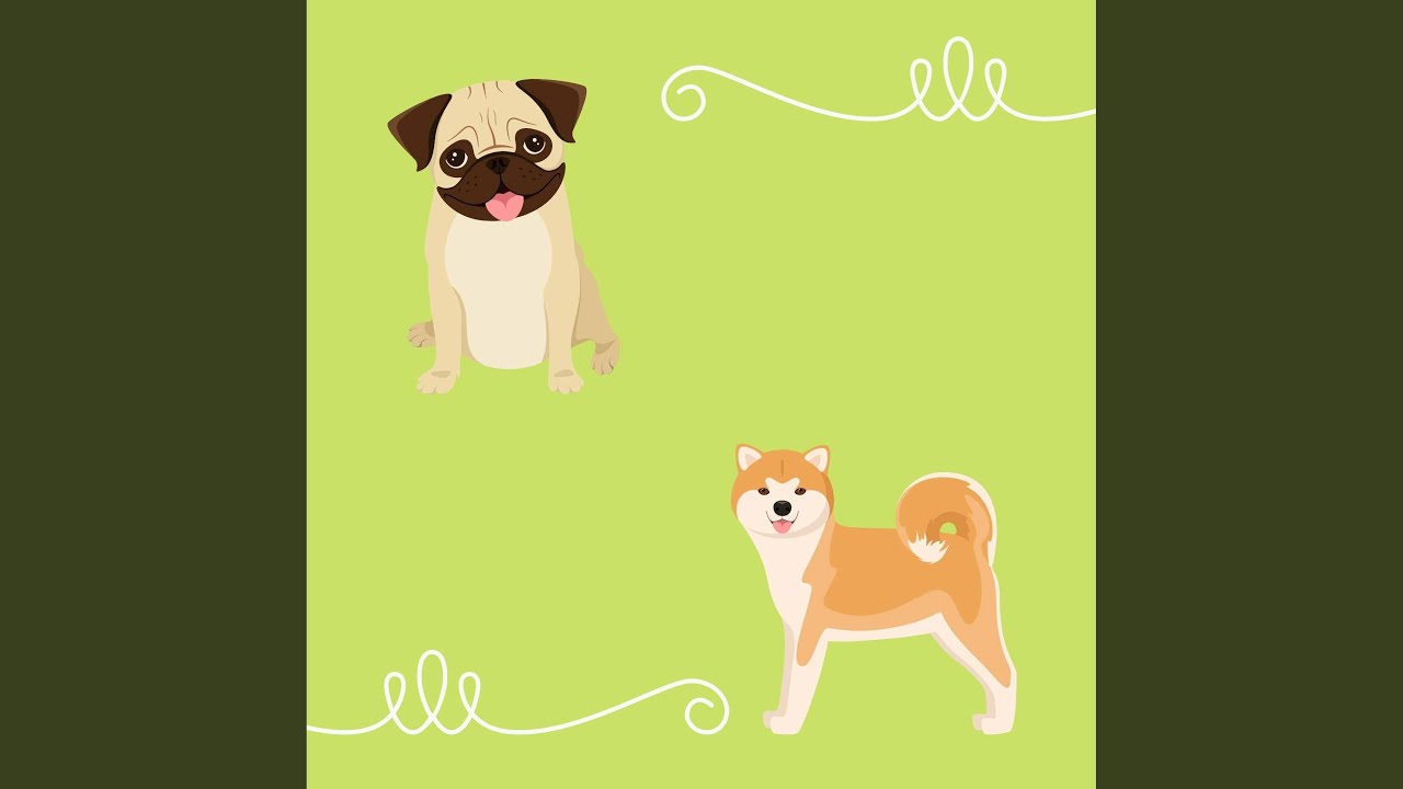 Easy Listening Piano Music Soundtrack for Funny Dog - YouTube