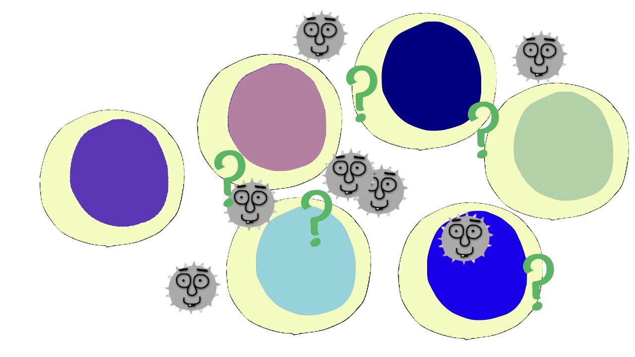 Immunity: Active vs Passive - YouTube