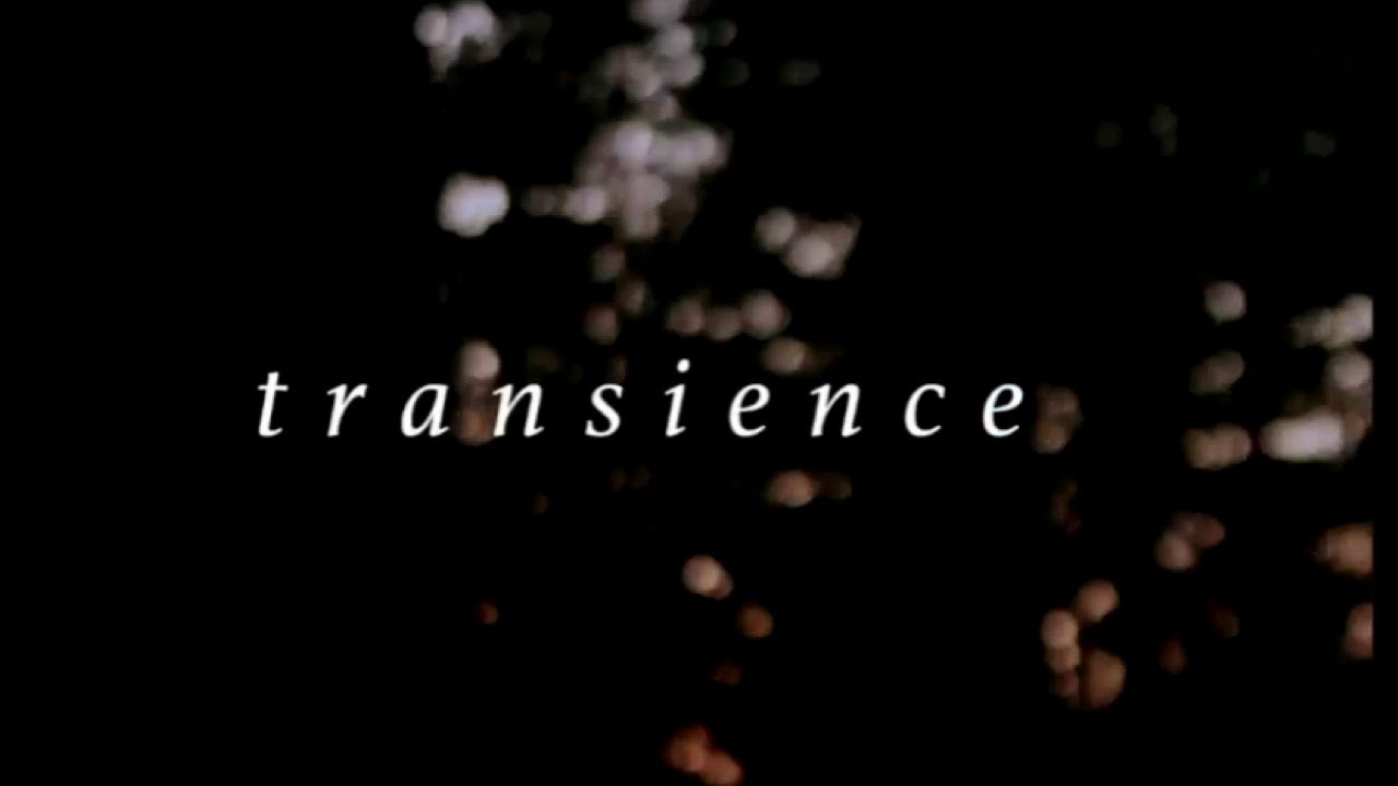 transience - YouTube