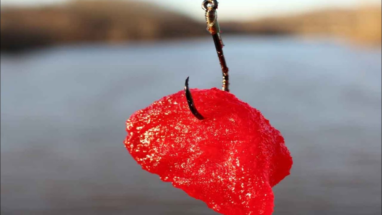 How to make super catfish bait - YouTube