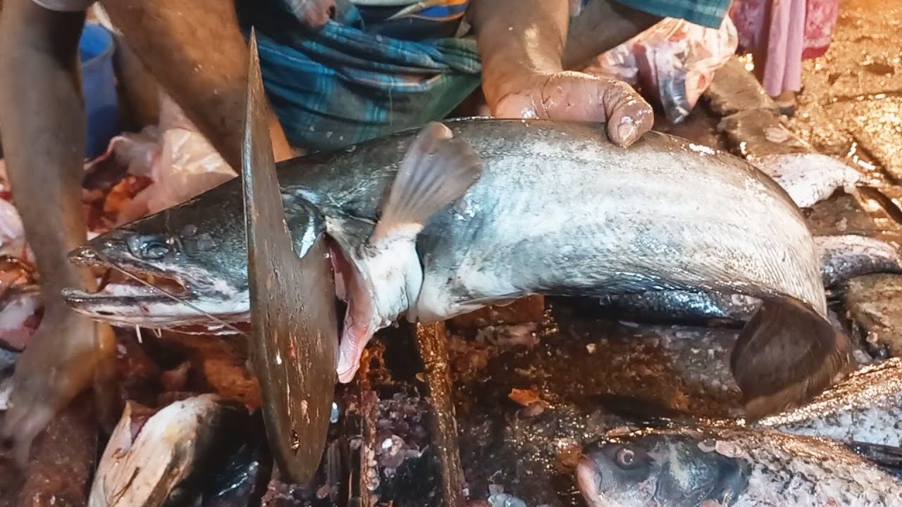 Giant Boal Fish Cutting by Expert Fish Cutter | Boal Fish Cutting Video ...