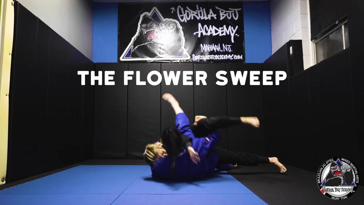 BJJ Basics • Flower sweep aka Pendulum sweep - YouTube