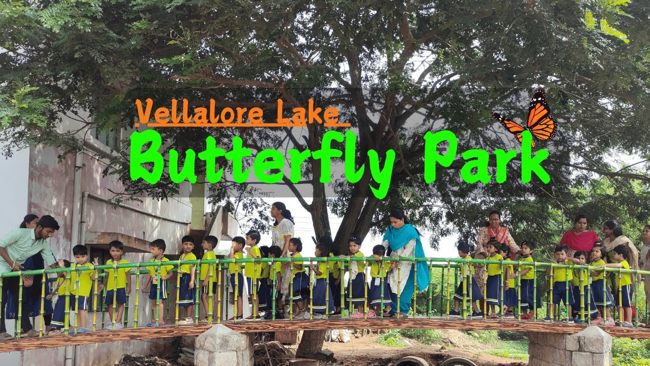 Vellalore Lake Butterfly Park Coimbatore|Little Explorers at Butterfly ...