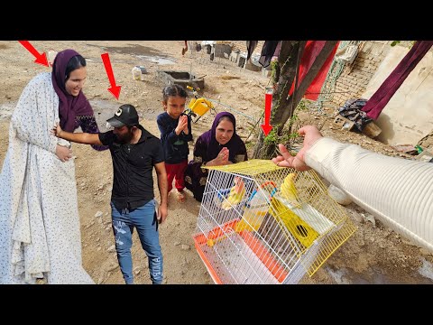 Zainab, who was searching for Ali and Issa, lost her birds in the search.