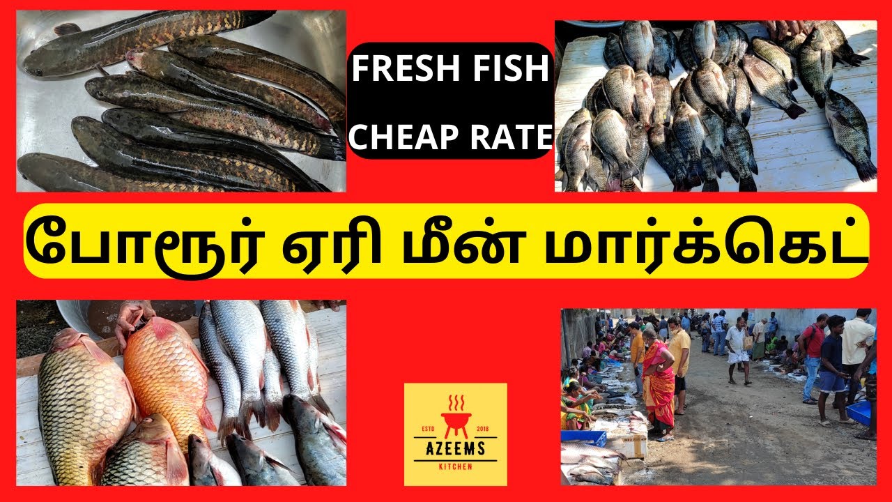 Porur Eri Fish Market in Tamil | போரூர் ஏரி மீன் மார்க்கெட் | Porur ...
