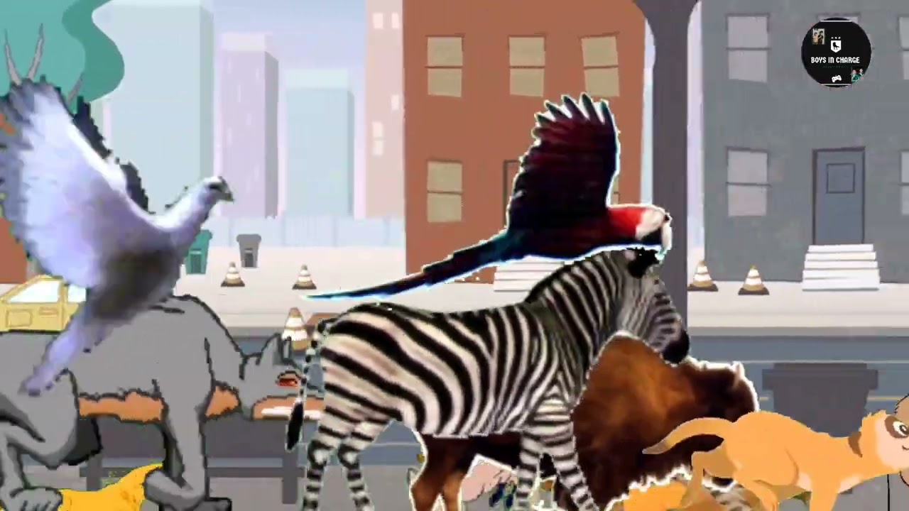 animal stampede video animated animal run video animal running - YouTube