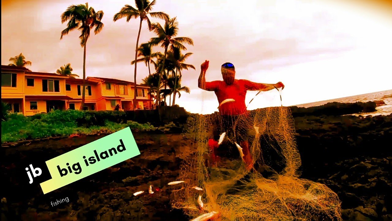 Big island Hawaii fishing: Throw net on big school of fish /throw net ...