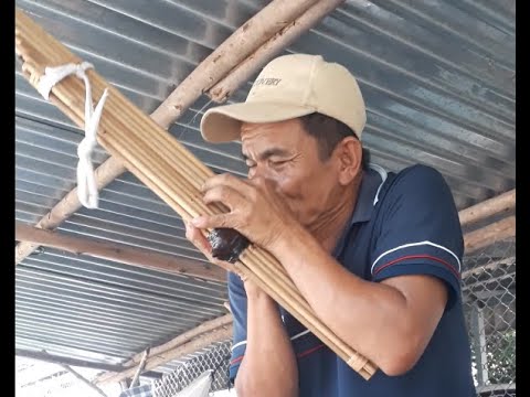 Man playing the Kaen, a Thai wind instrument - YouTube