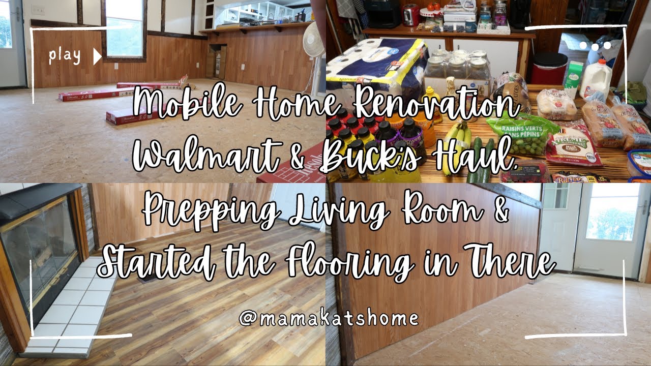 Mobile Home Renovation Walmart & Buck's Haul, Prepping Living Room ...
