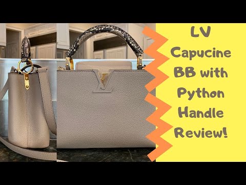 LV Capucine BB with Python Review/Care/Pros & Cons/... Video