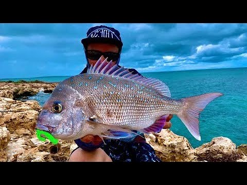 WE CAUGHT A FISH EVERY CAST WITH THIS LURE - YouTube