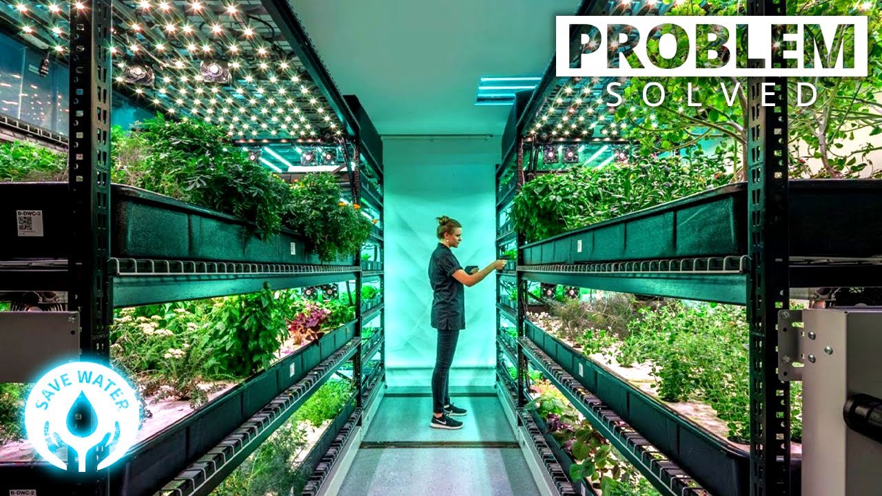 China's Next Gen Vertical Farming Uses Less Soil and 92% Less Water ...