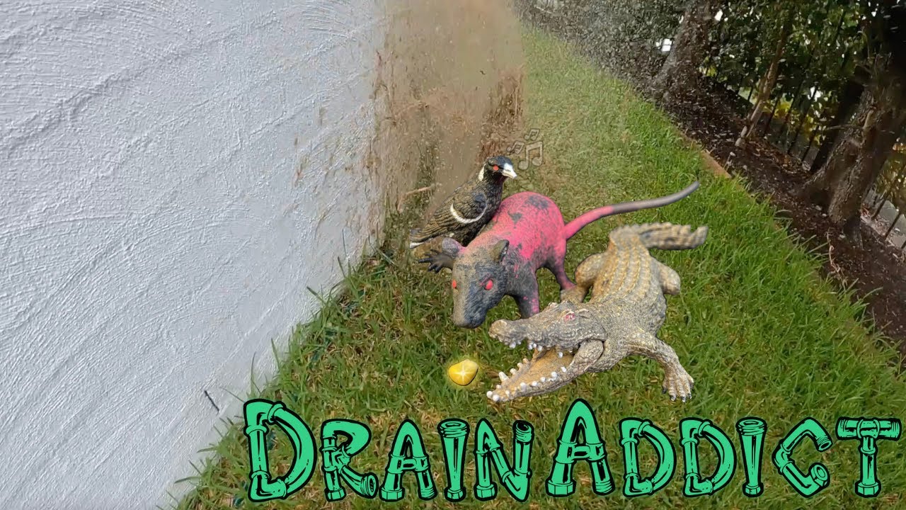 Blocked Drain 624 - YouTube