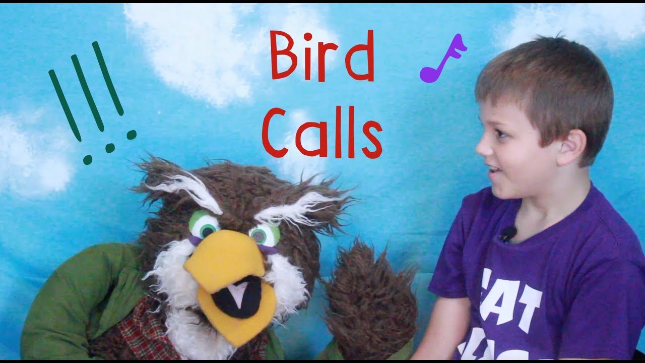 Bird Calls - YouTube