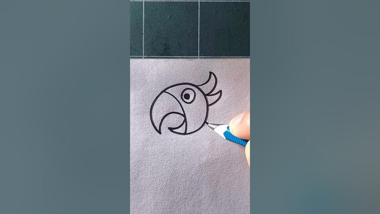 how to draw a bird - YouTube