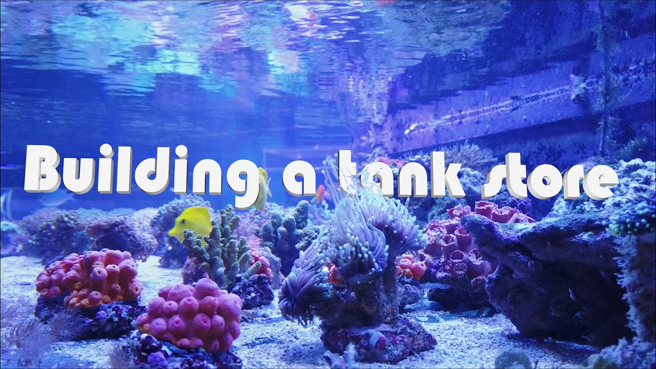 Building a tank store - YouTube