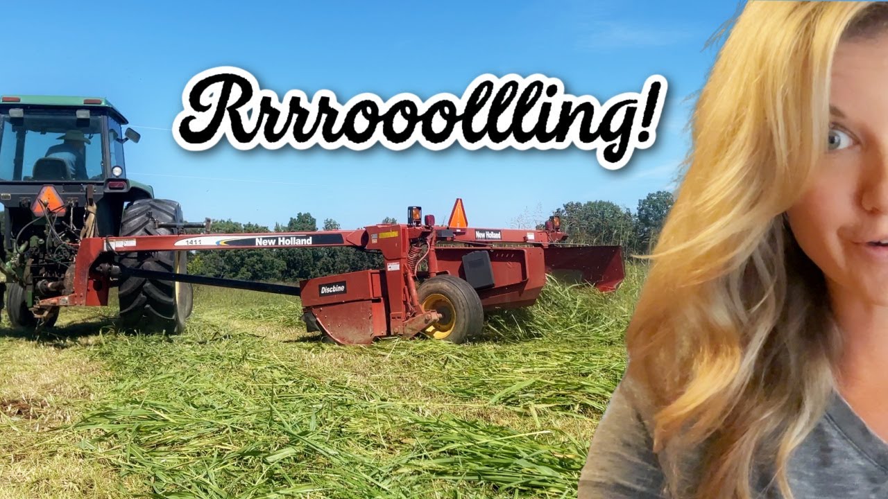 We're ROLLING! 3rd Cut Hay 🌾 (& Horses 🙃) - YouTube