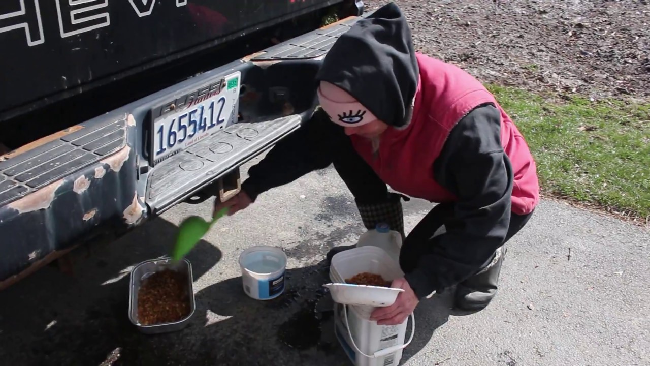 Fat Cat Rescue - YouTube