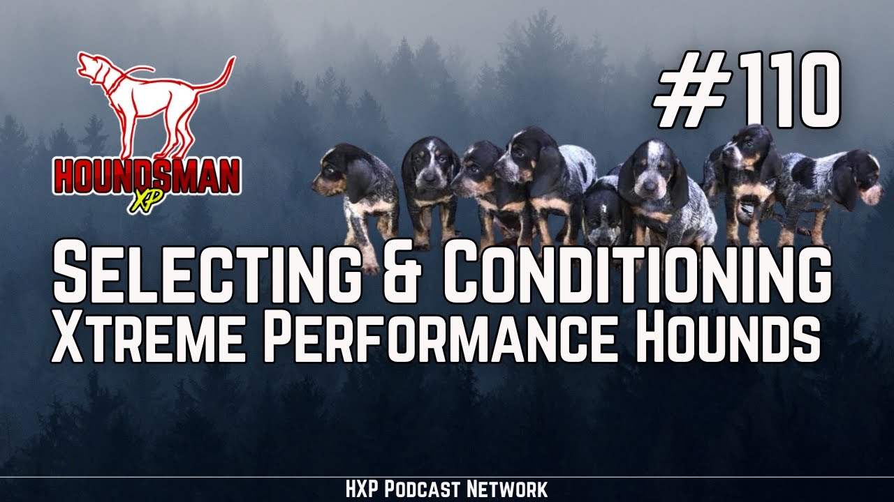 Breeding, Selecting and Conditioning for Xtreme Performance Hounds | HXP #110 - YouTube