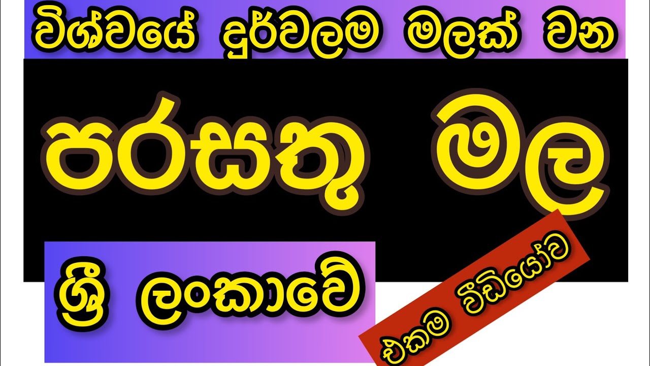 ඉතා දුර්ලභ පරසතු මල ශ්‍රී ලංකාවේ..එකම වීඩියෝව parasathu mala in Sri ...
