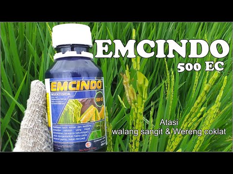 Insektisida EMCINDO 500 EC