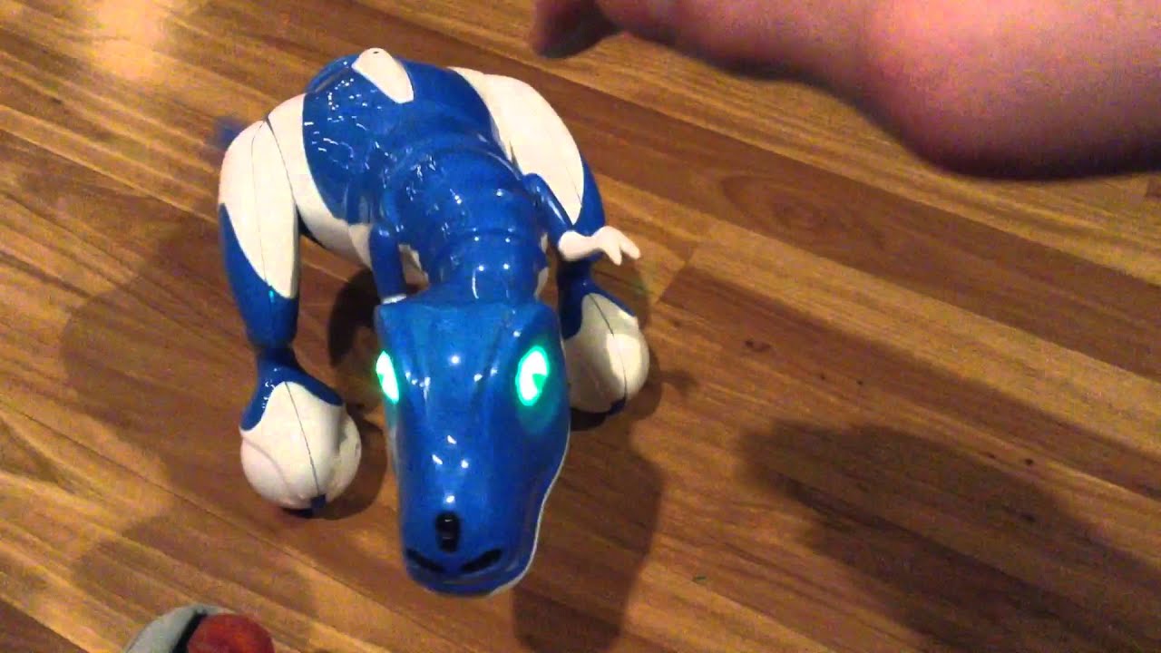 Boomer Dino Christmas demo - YouTube