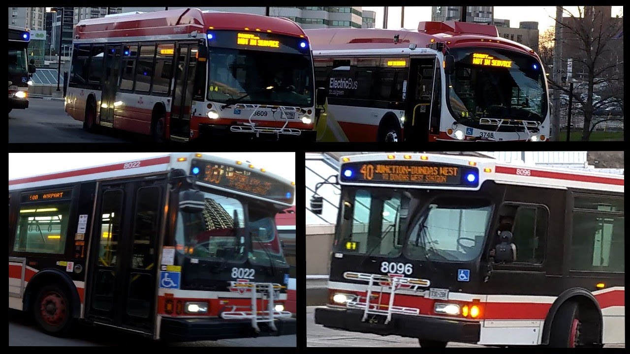 TTC Bus Compilation #2 (KIPLING) - YouTube