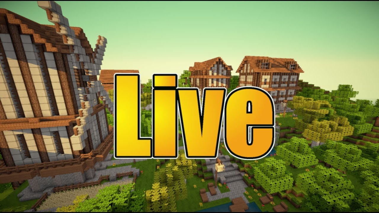 Developer gesucht !!! Minecraft auf meinem Server - YouTube