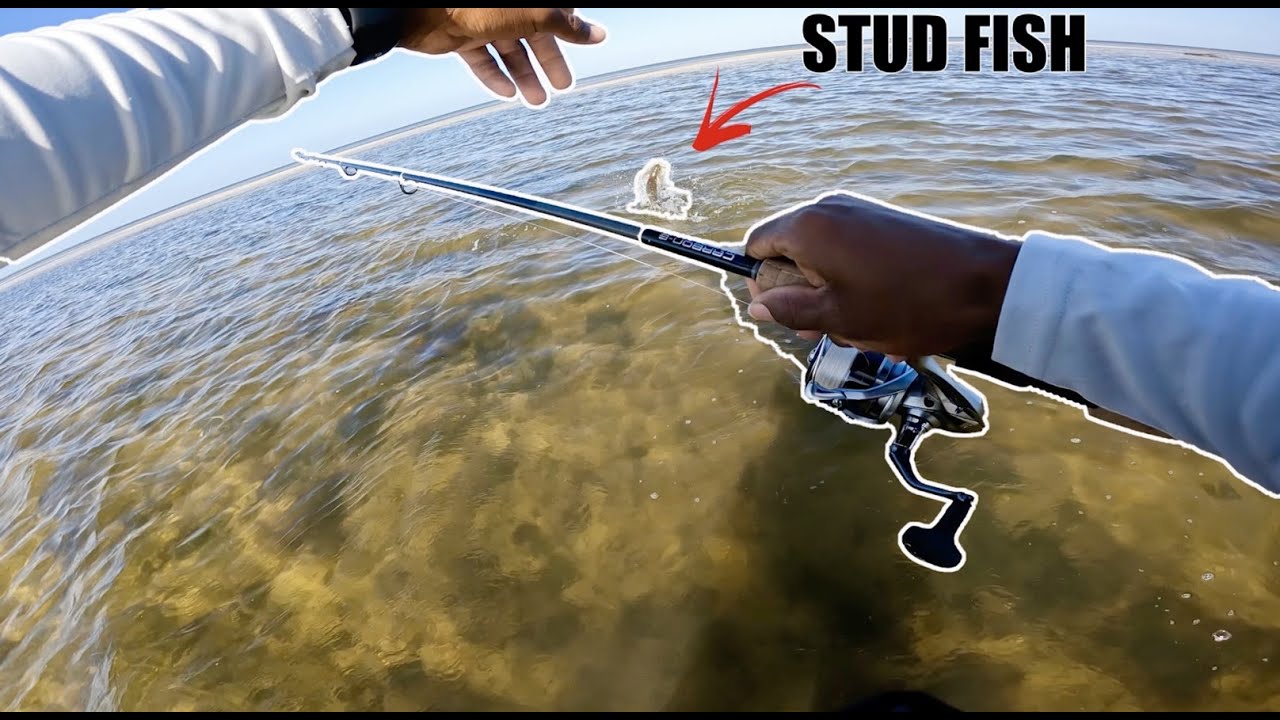 Stud fish caught while fishing the Florida Flats - YouTube