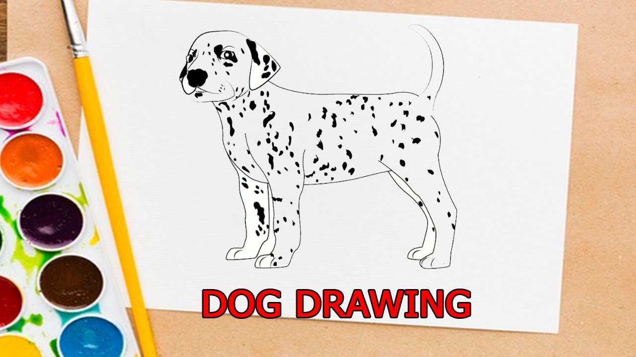 How to draw cute dog step by step | Dog drawings | Mady Arts - YouTube