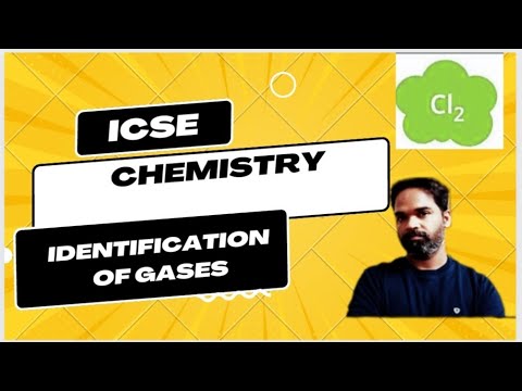 icse chemistry, practical chemistry, identification of gases - YouTube