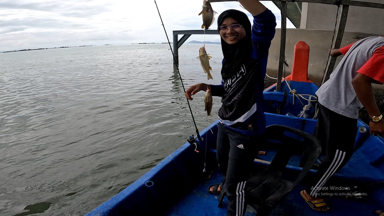 TEKNIK APOLLO DAPAT RATUSAN IKAN GELAMA BAWAH JAMBATAN PULAU PINANG ...