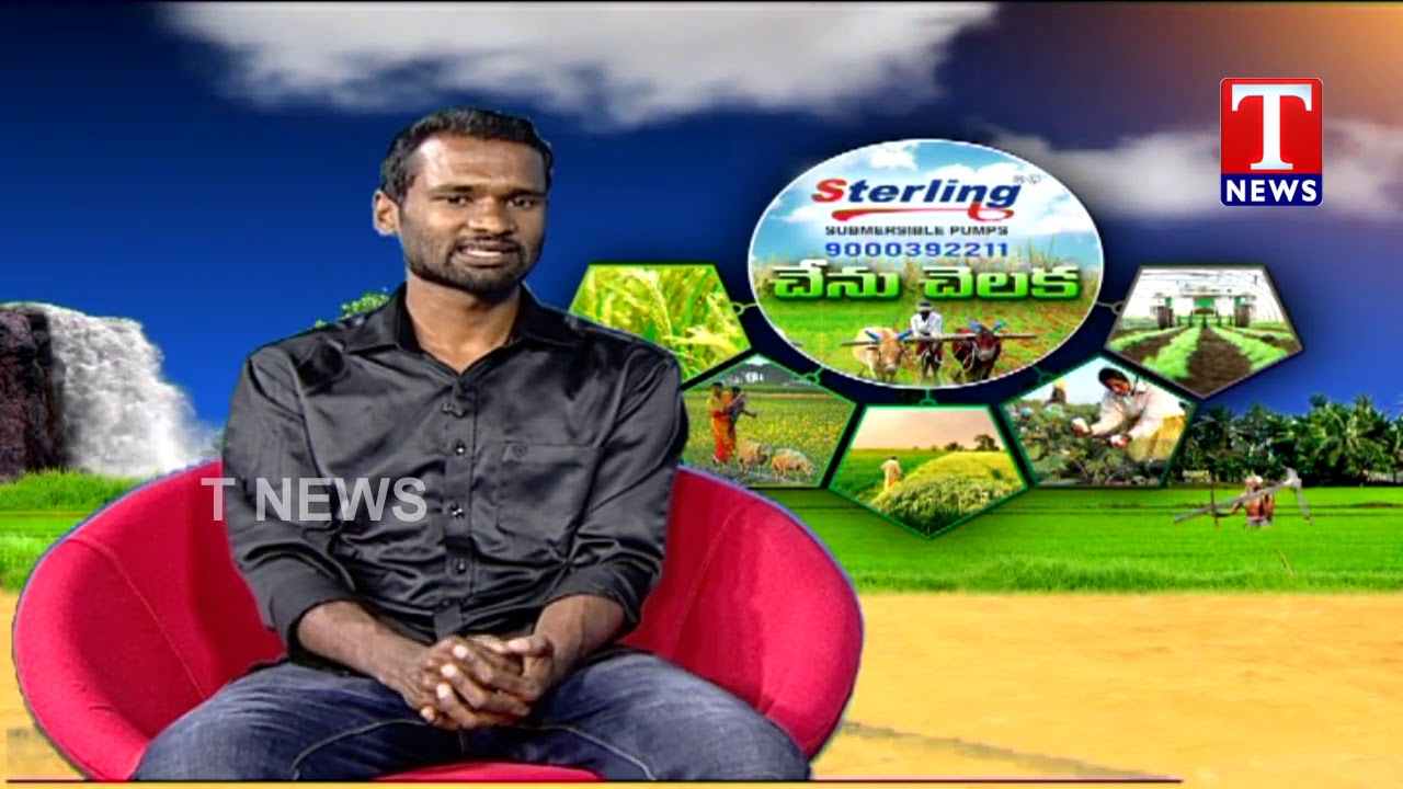 Organic Eggs & Dairy Management by Achyuth Reddy | Chenu Chelaka ...