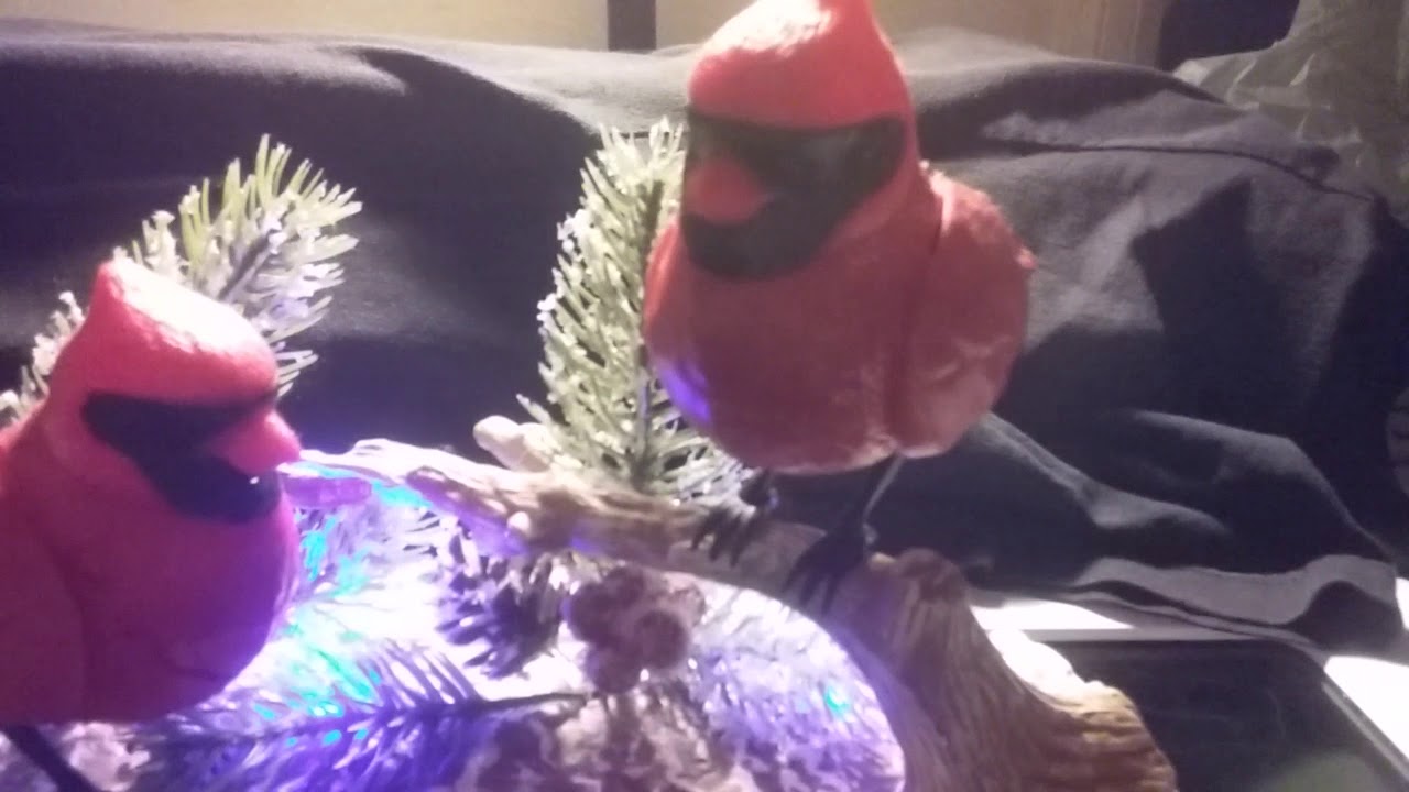 ANIMATED SINGING CHRISTMAS CARDINALS !! - YouTube
