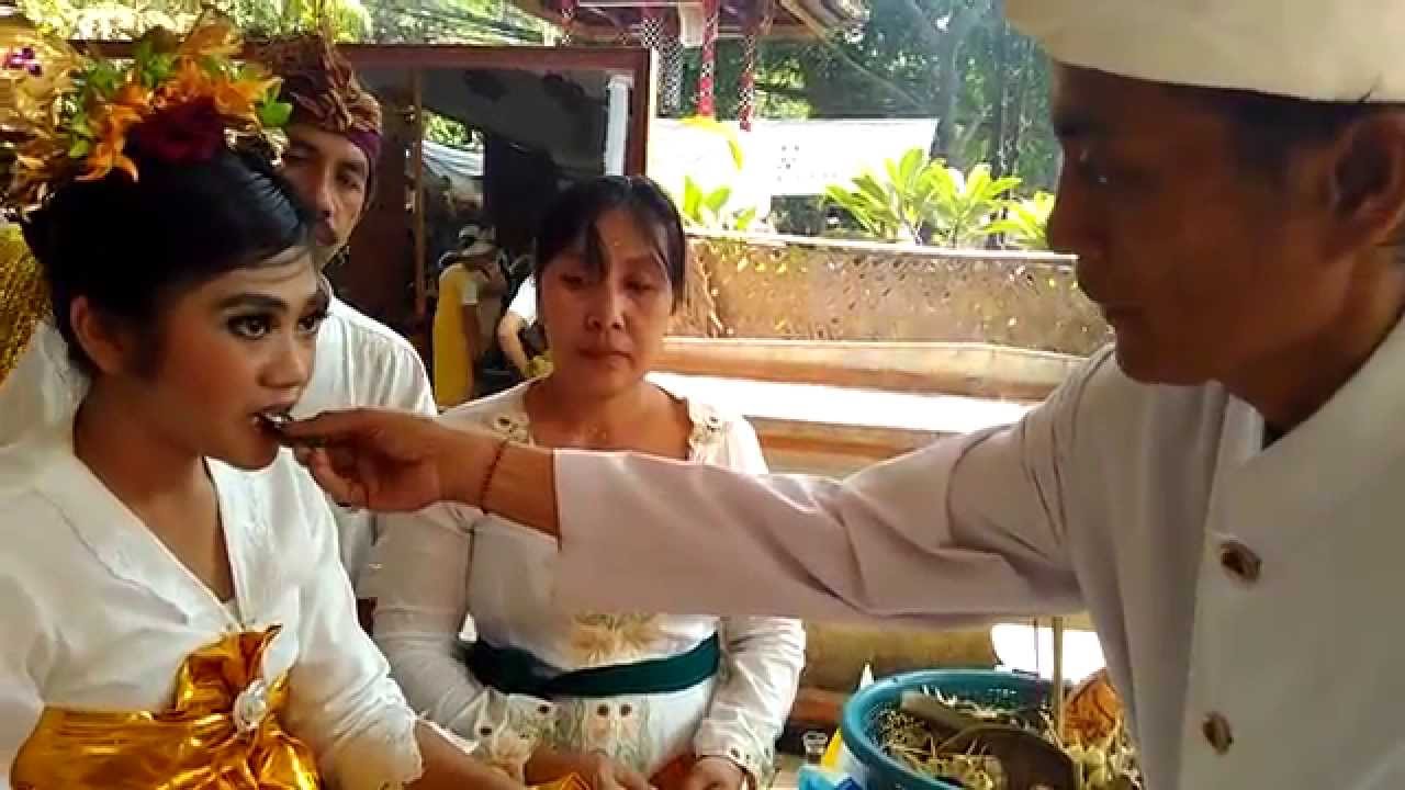 Metatah Ceremony, Tooth filing ceremony - A very unique Balinese Hindu ...