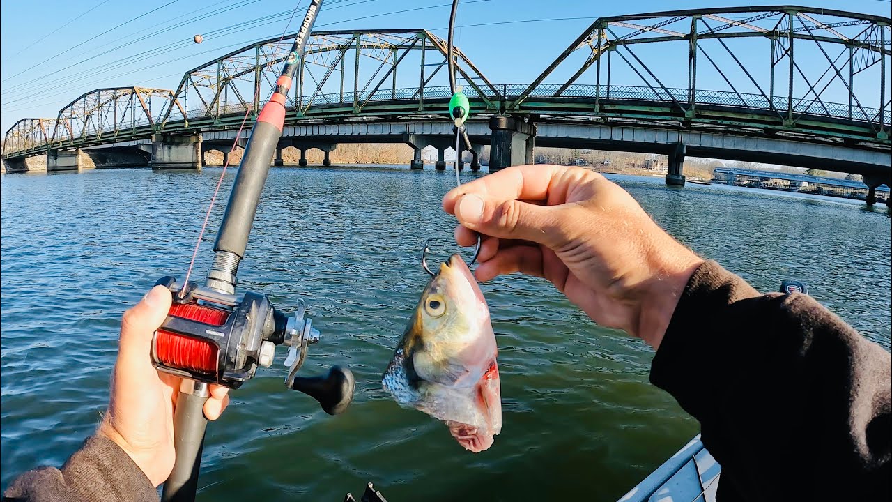 I Caught Some STRANGE Looking Catfish in Alabama - YouTube